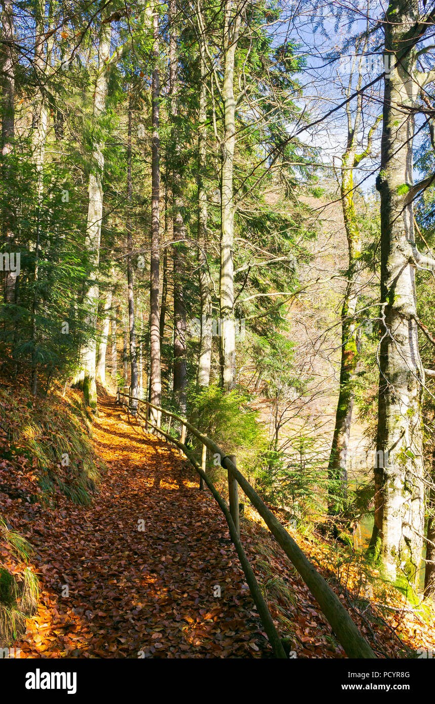 Covered path walkway light nature hi-res stock photography and images ...