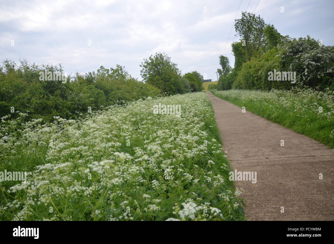 Roadside countryside hi-res stock photography and images - Alamy