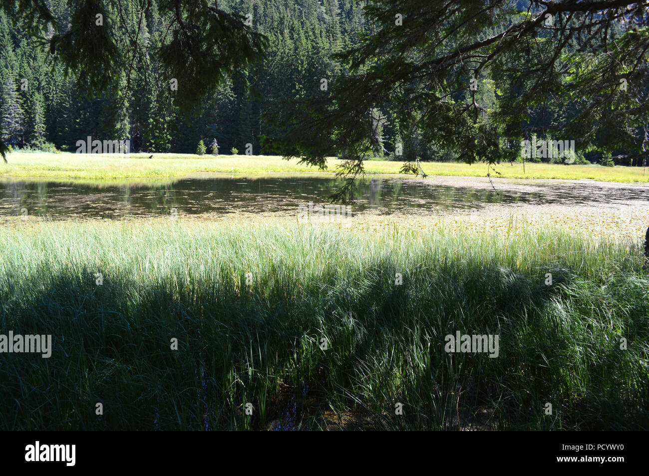 Smolyan hi-res stock photography and images - Alamy