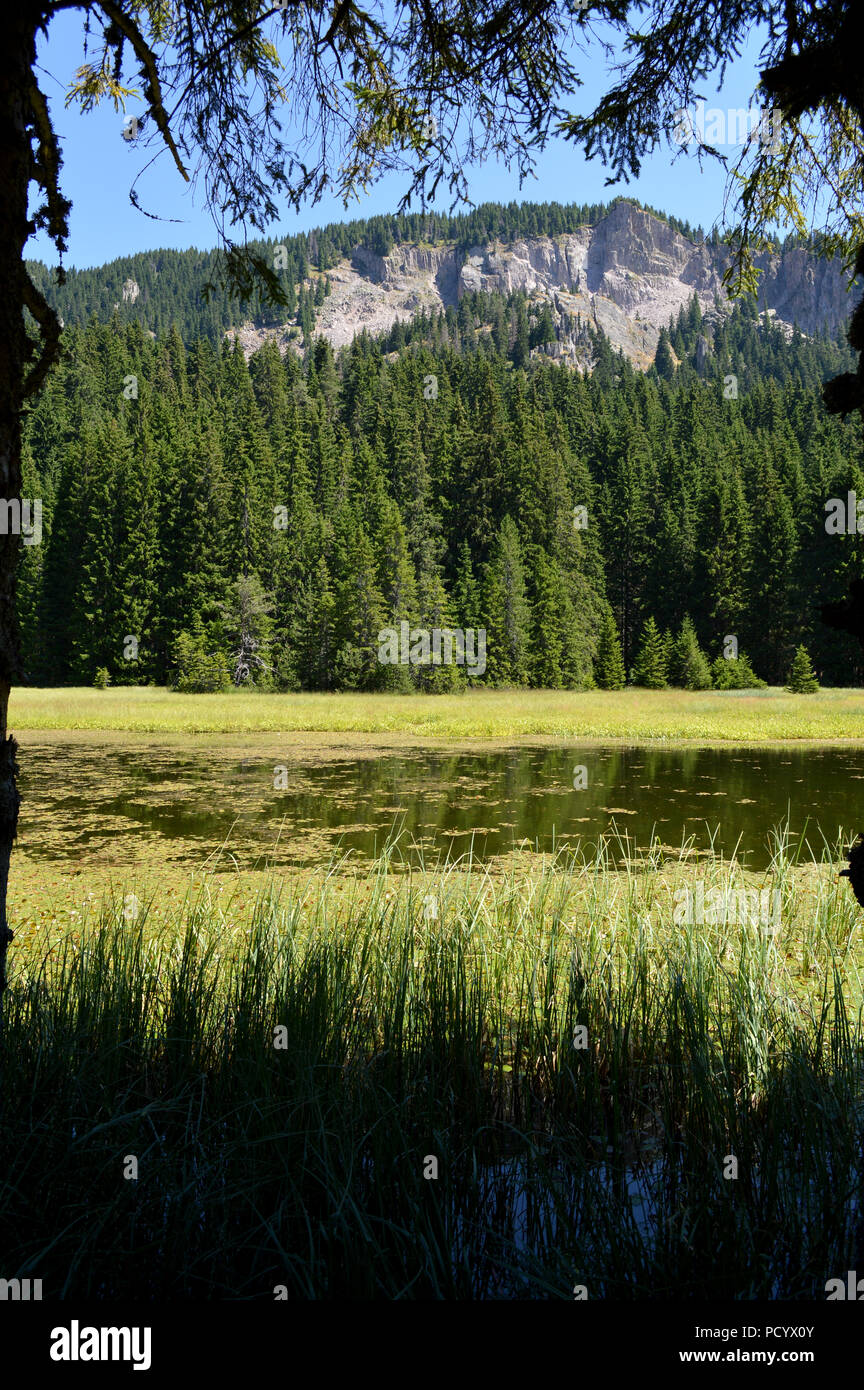 Smolyan hi-res stock photography and images - Alamy