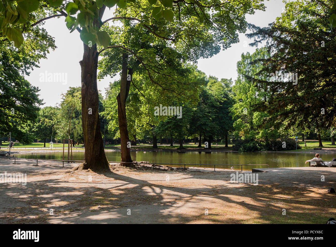 Beautiful park scene in public park with green grass field, green tree ...