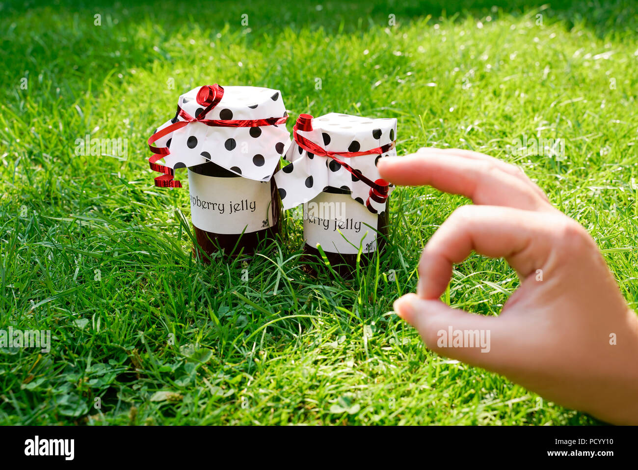 2 jars of homemade raspberry jelly stand on green meadow. The labels ...