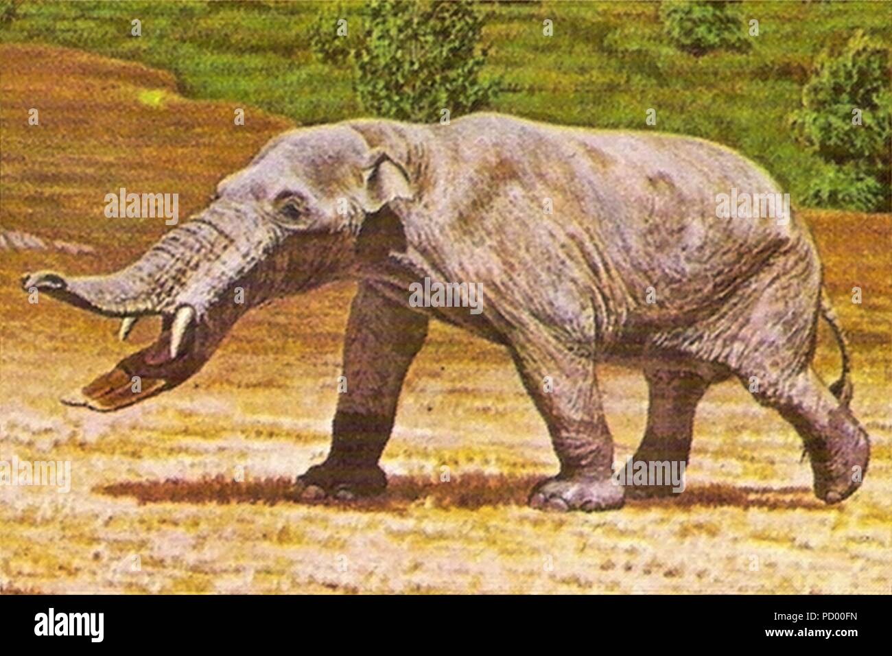 Archaeobelodon