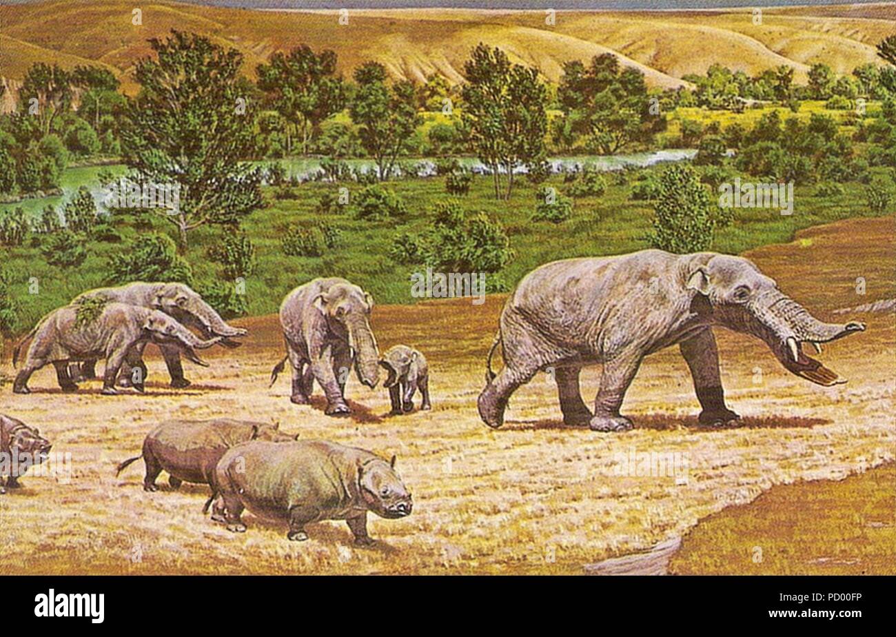 Archaeobelodon
