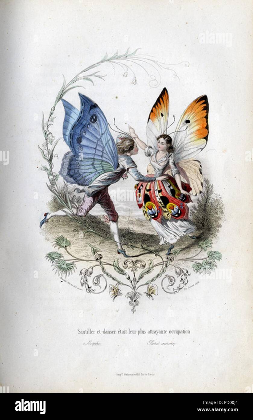 Amedee varin hi-res stock photography and images - Alamy