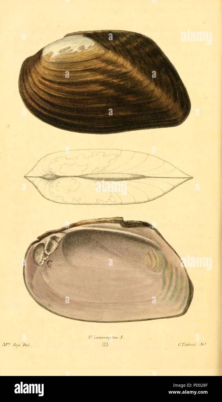 Plate 33 hi-res stock photography and images - Alamy