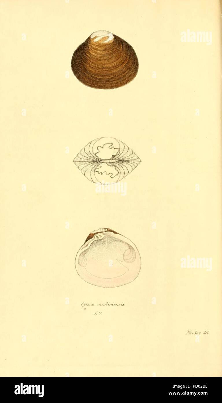 62 plate hi-res stock photography and images - Alamy