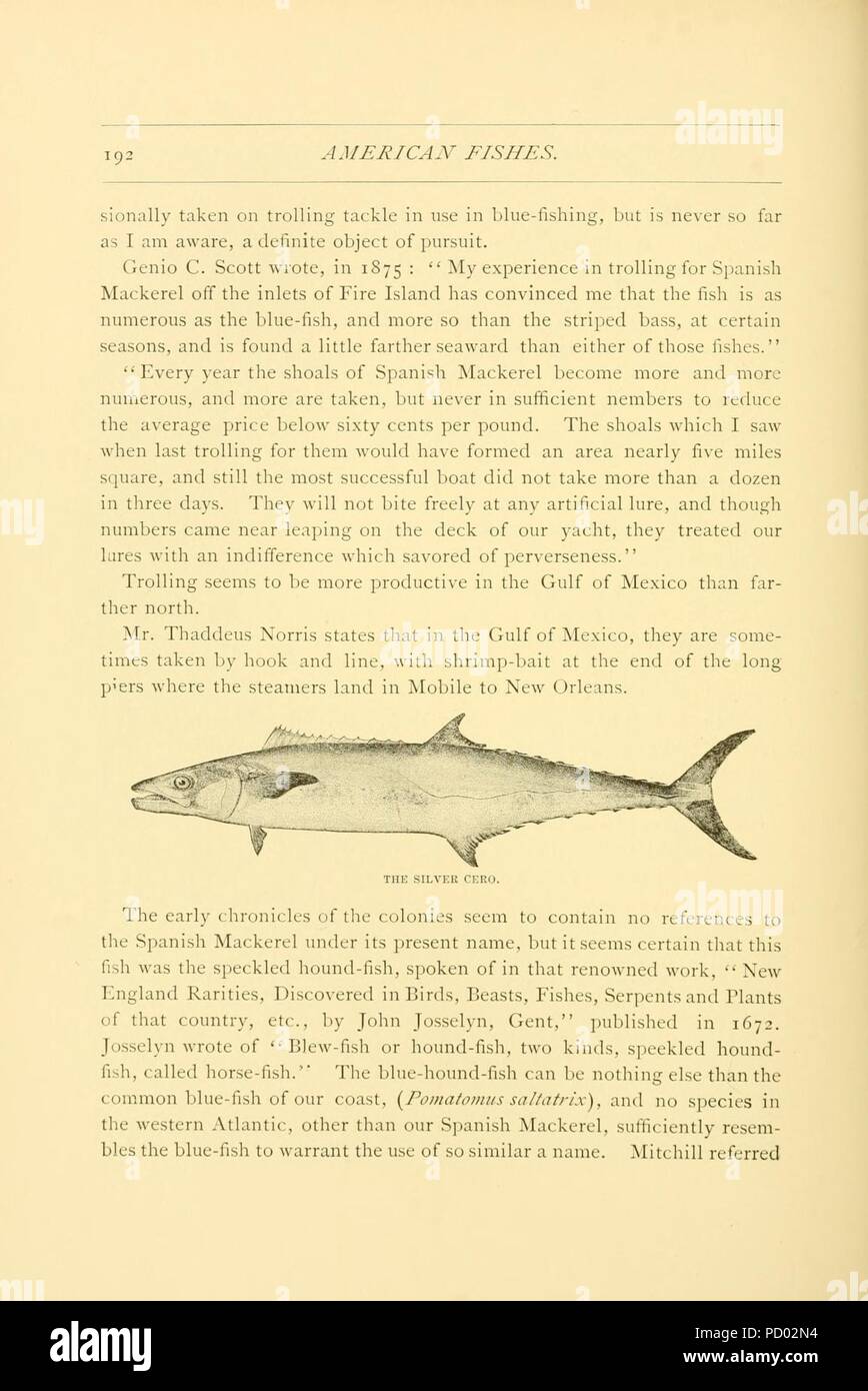 Cero hi-res stock photography and images - Alamy