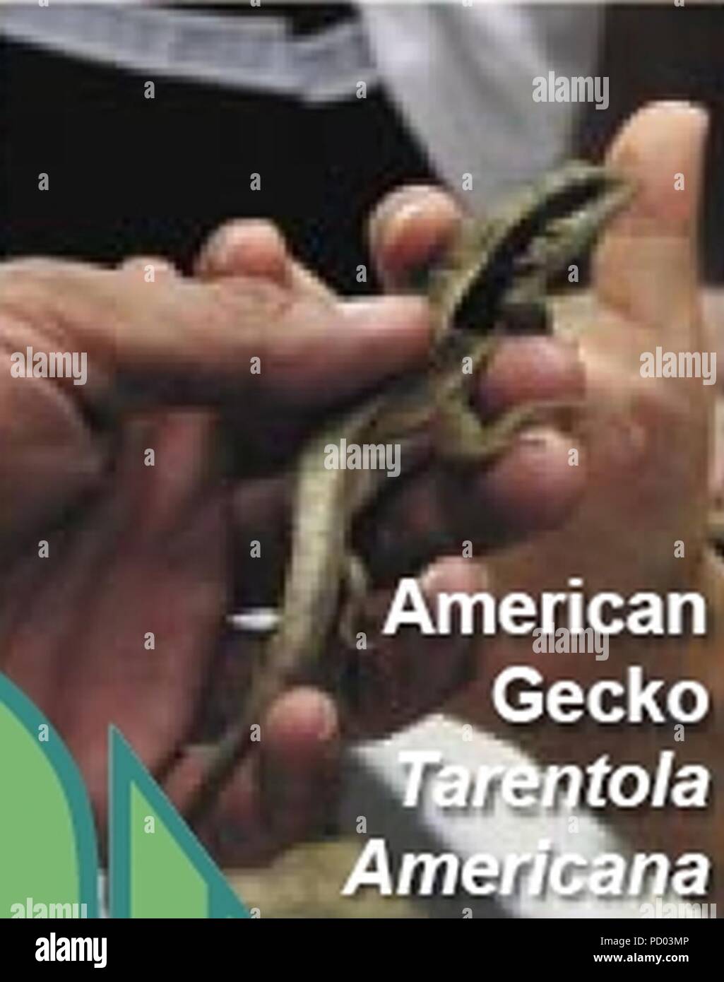 Americana archive picture hi-res stock photography and images - Alamy