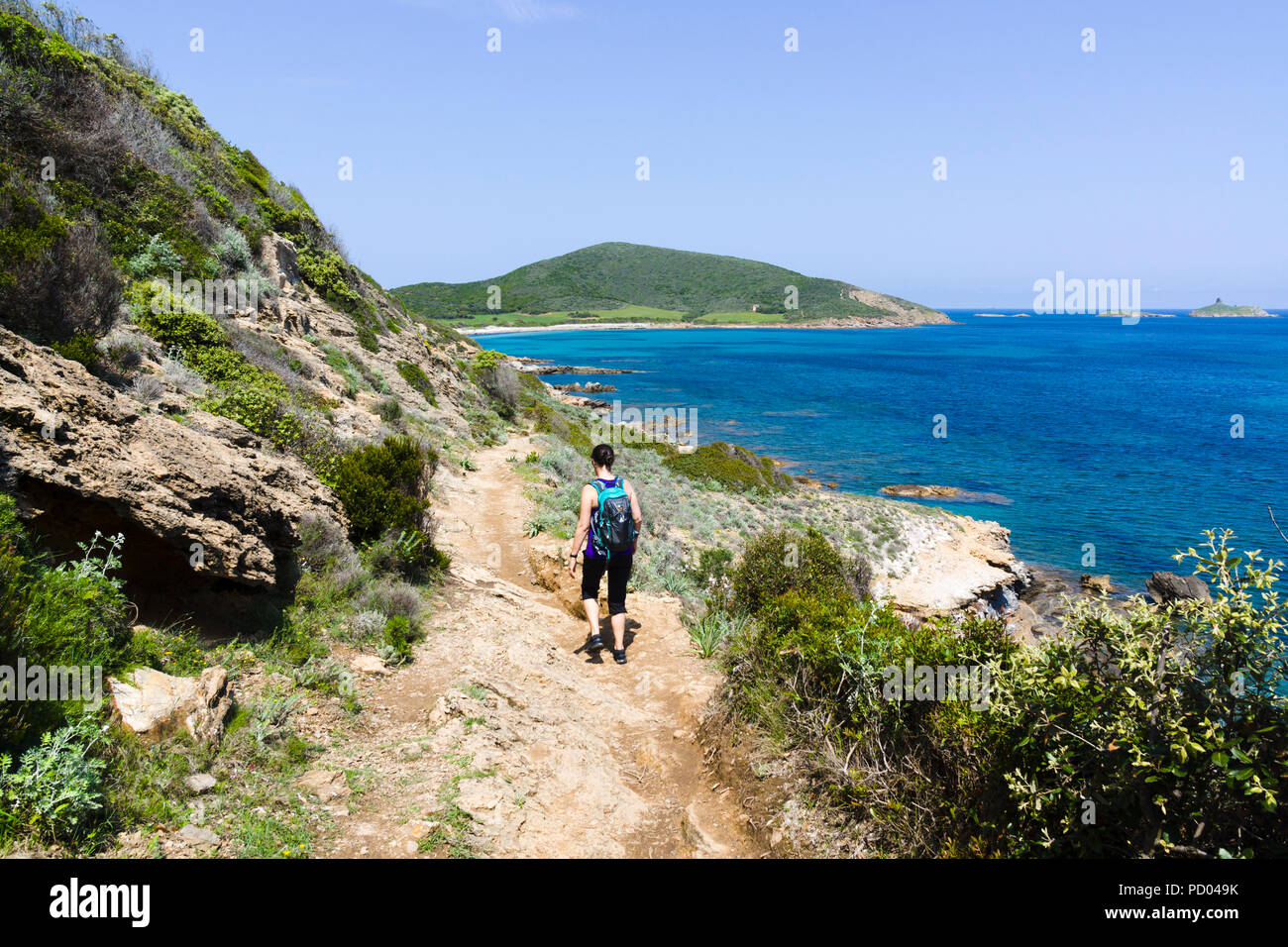 Sentier des douaniers, hiking trail, Cap Corse, Corsica, France Stock ...