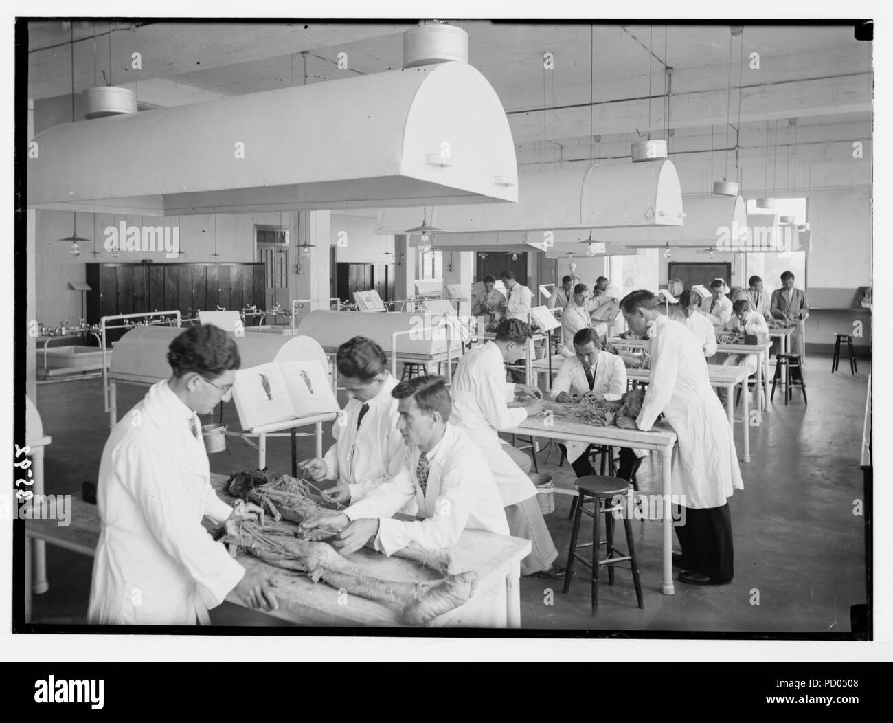 Dissecting class Black and White Stock Photos & Images - Alamy