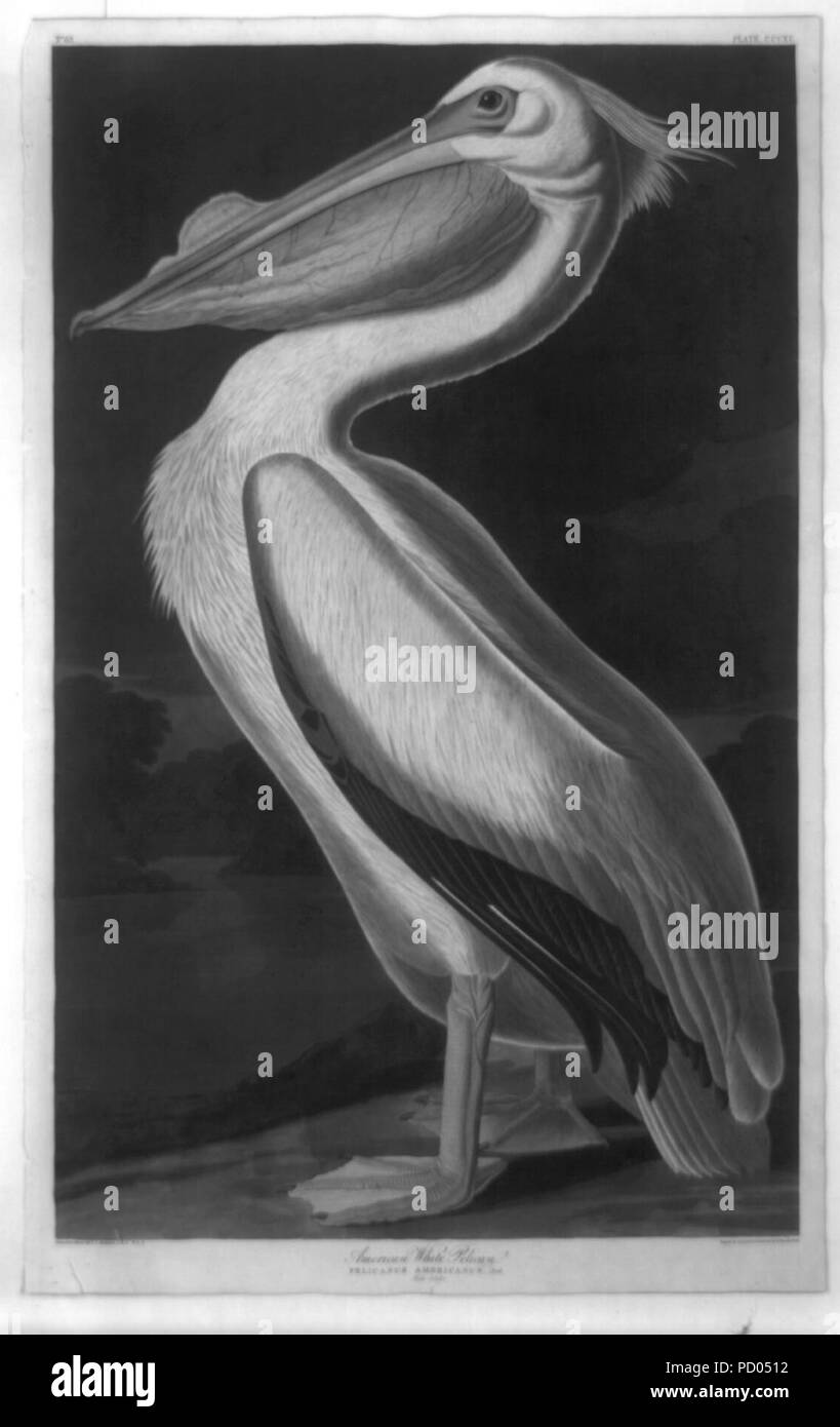 R s f s r Black and White Stock Photos & Images - Alamy