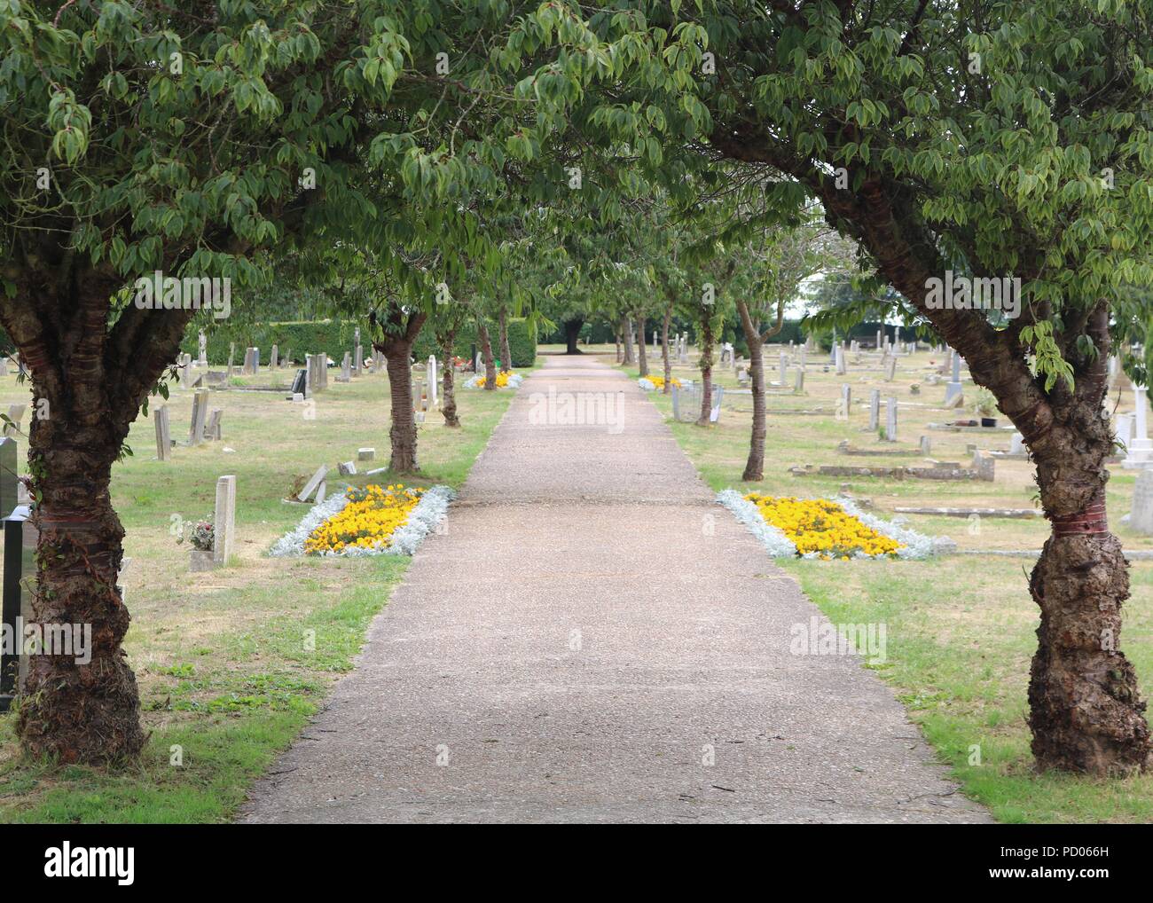 New romney hi-res stock photography and images - Alamy