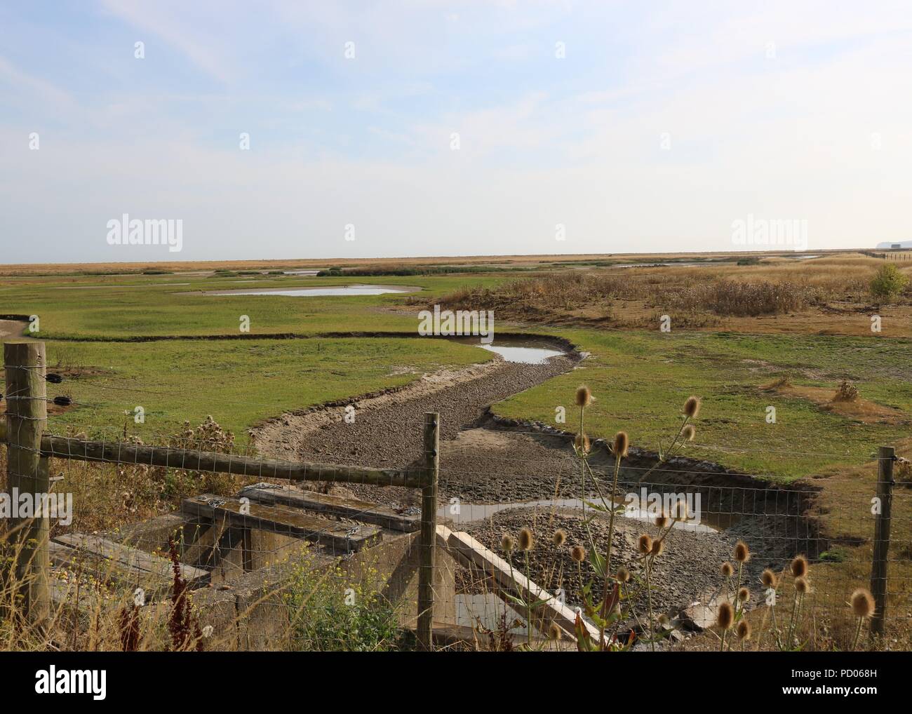 Rye birds hi-res stock photography and images - Alamy