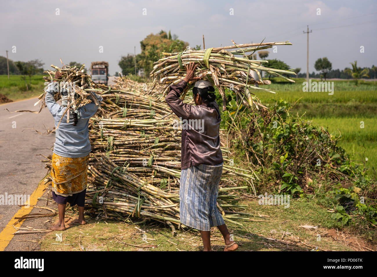 Bundle Of Cane High Resolution Stock Photography and Images - Alamy