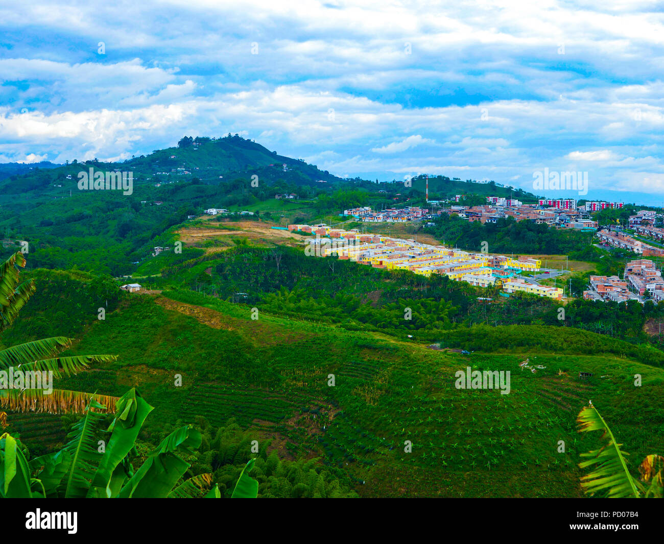 Crops green colombia hi-res stock photography and images - Alamy
