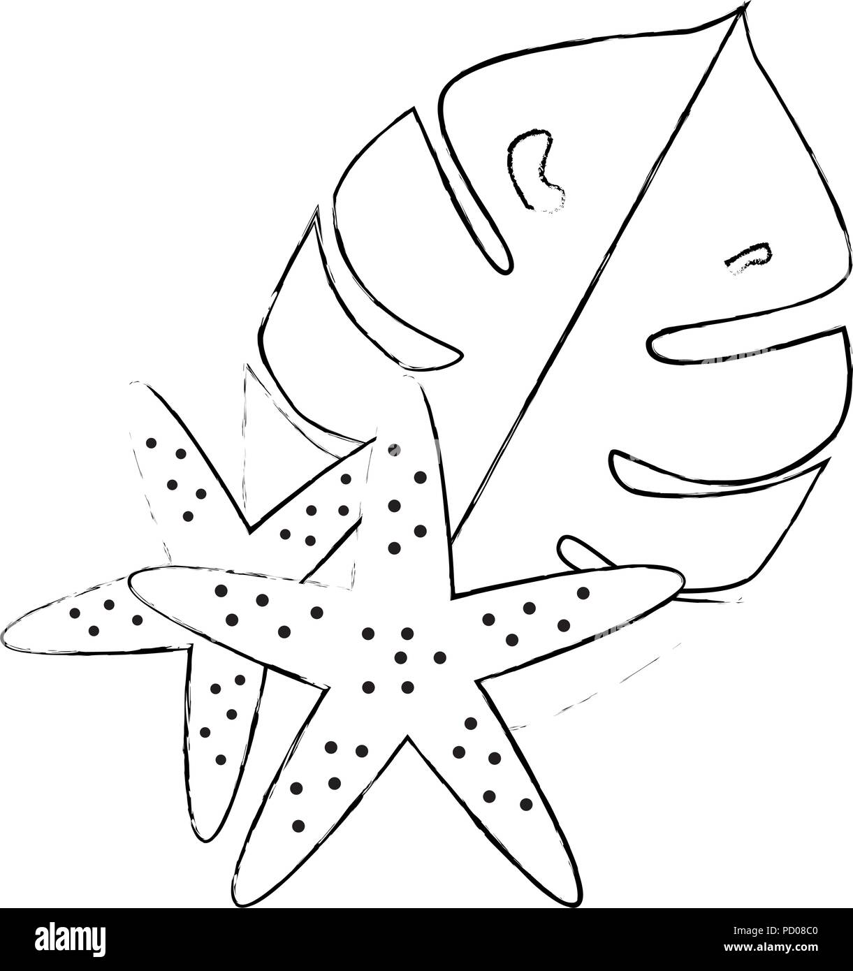 exotic and tropical leafs and starfish vector illustration design Stock ...