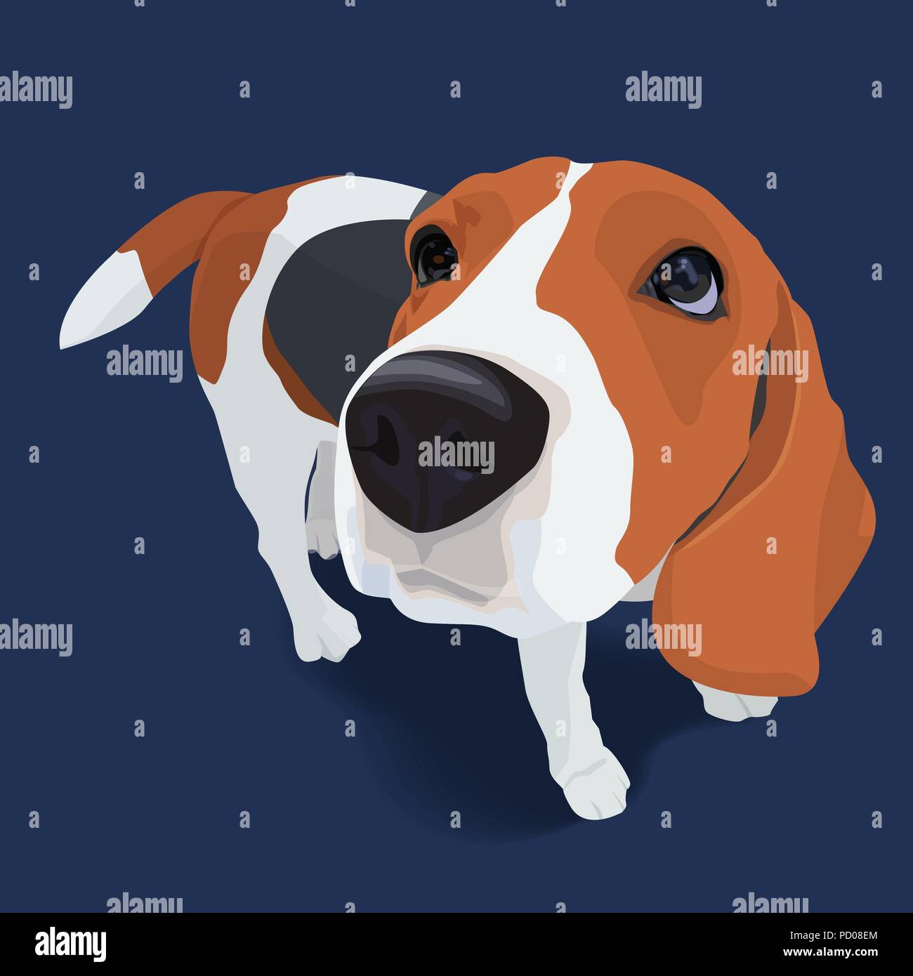 Portrait of adorable beagle dog with shadow on blue background, vector ...