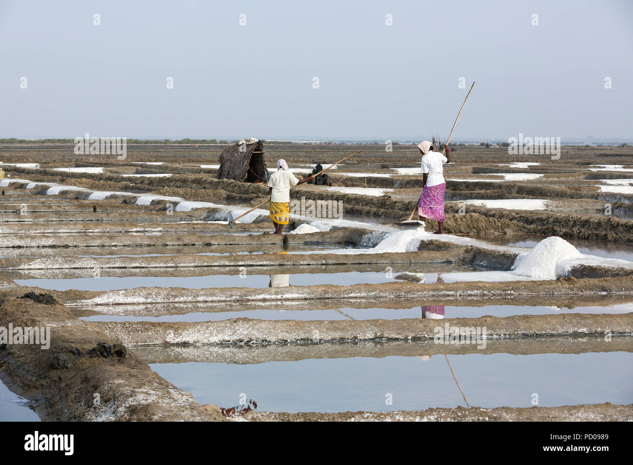 India tamil nadu salt production hi-res stock photography and images ...