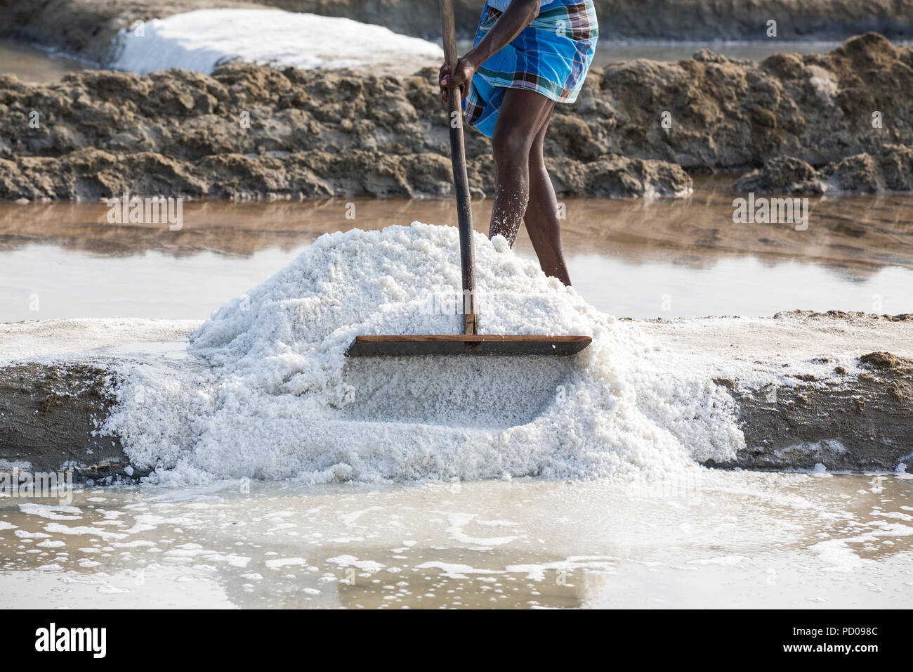 PONDICHERY, PUDUCHERRY, TAMIL NADU, INDIA - MARCH CIRCA, 2018. Close-up ...