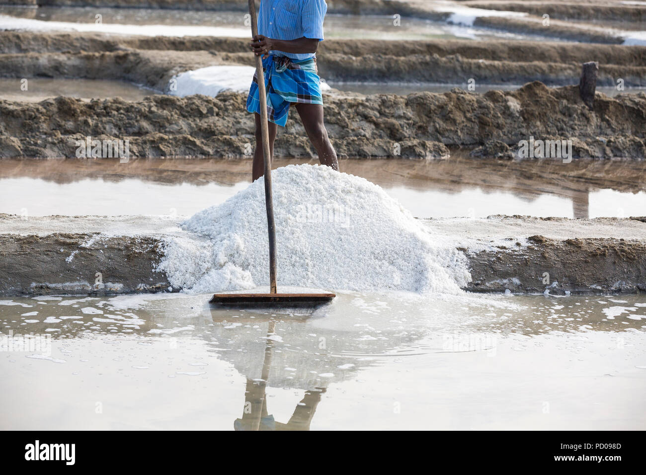 India tamil nadu salt production hi-res stock photography and images ...