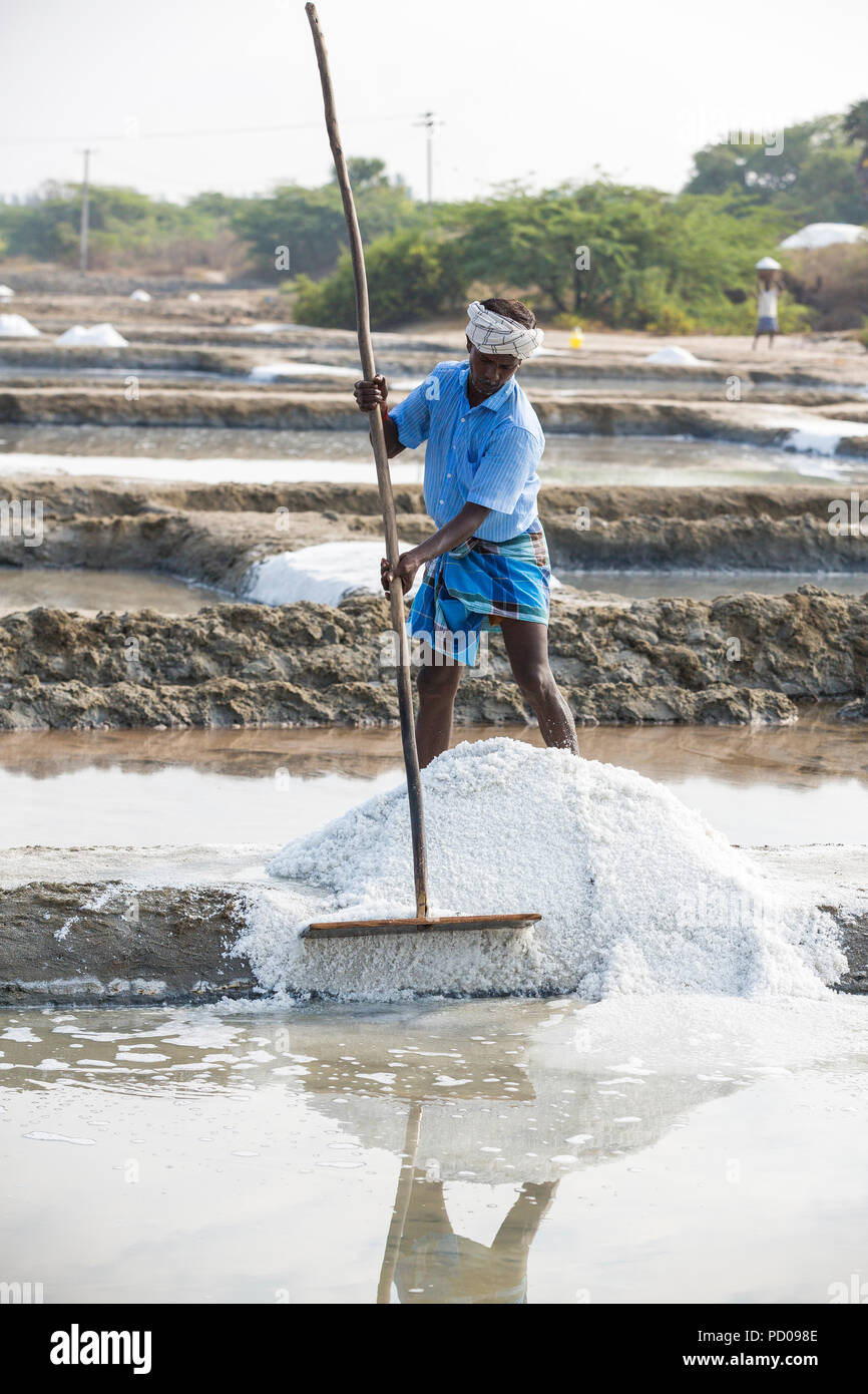 India tamil nadu salt production hi-res stock photography and images ...