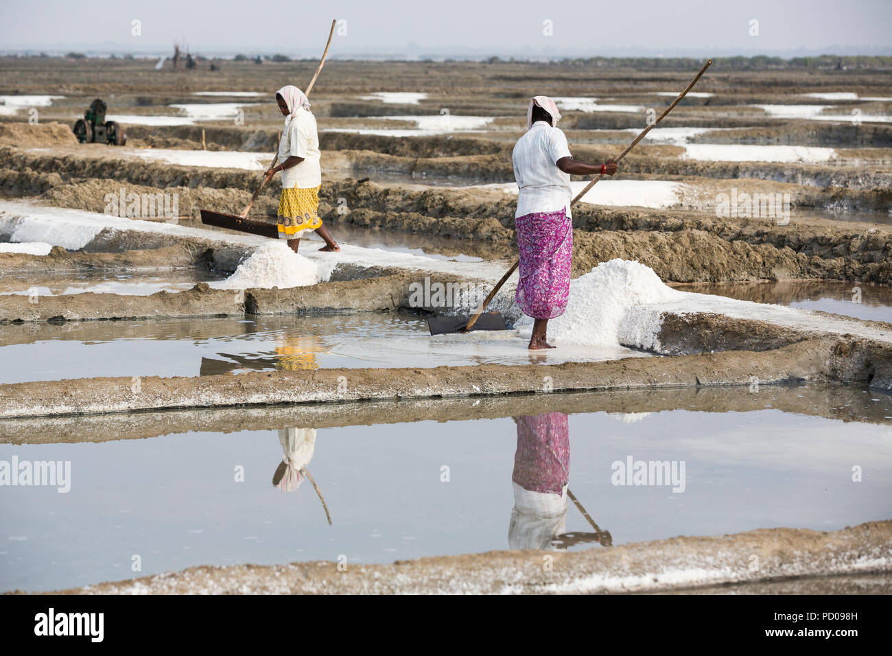 India tamil nadu salt production hi-res stock photography and images ...