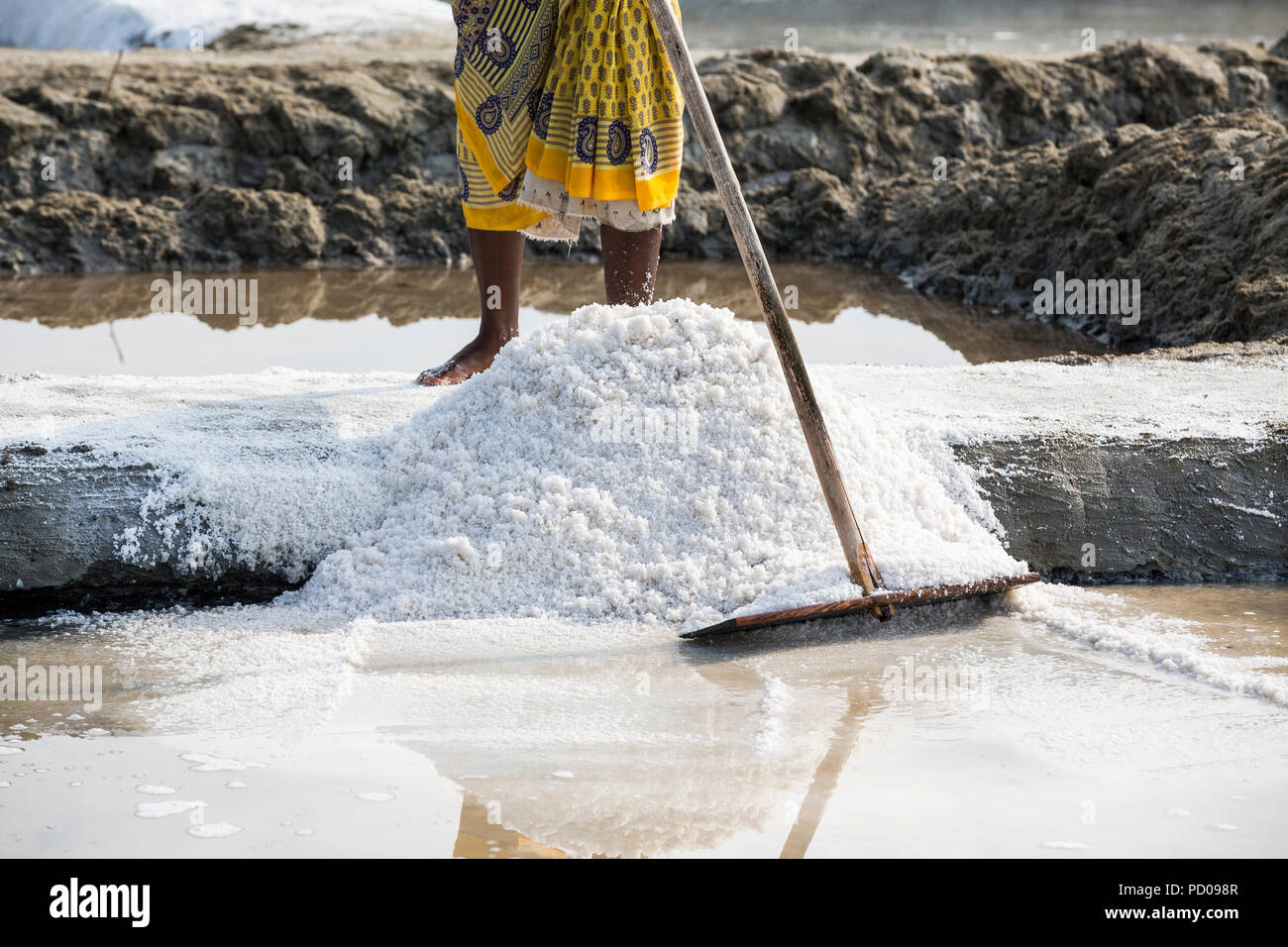 India tamil nadu salt production hi-res stock photography and images ...