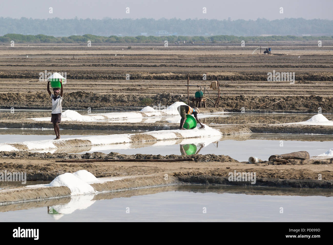 India tamil nadu salt production hi-res stock photography and images ...