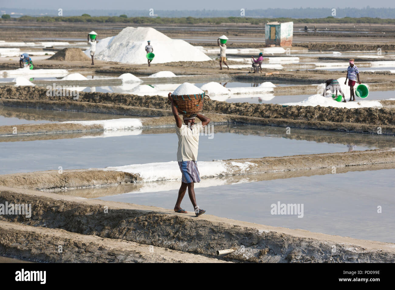 PONDICHERY, PUDUCHERRY, TAMIL NADU, INDIA - MARCH CIRCA, 2018 ...
