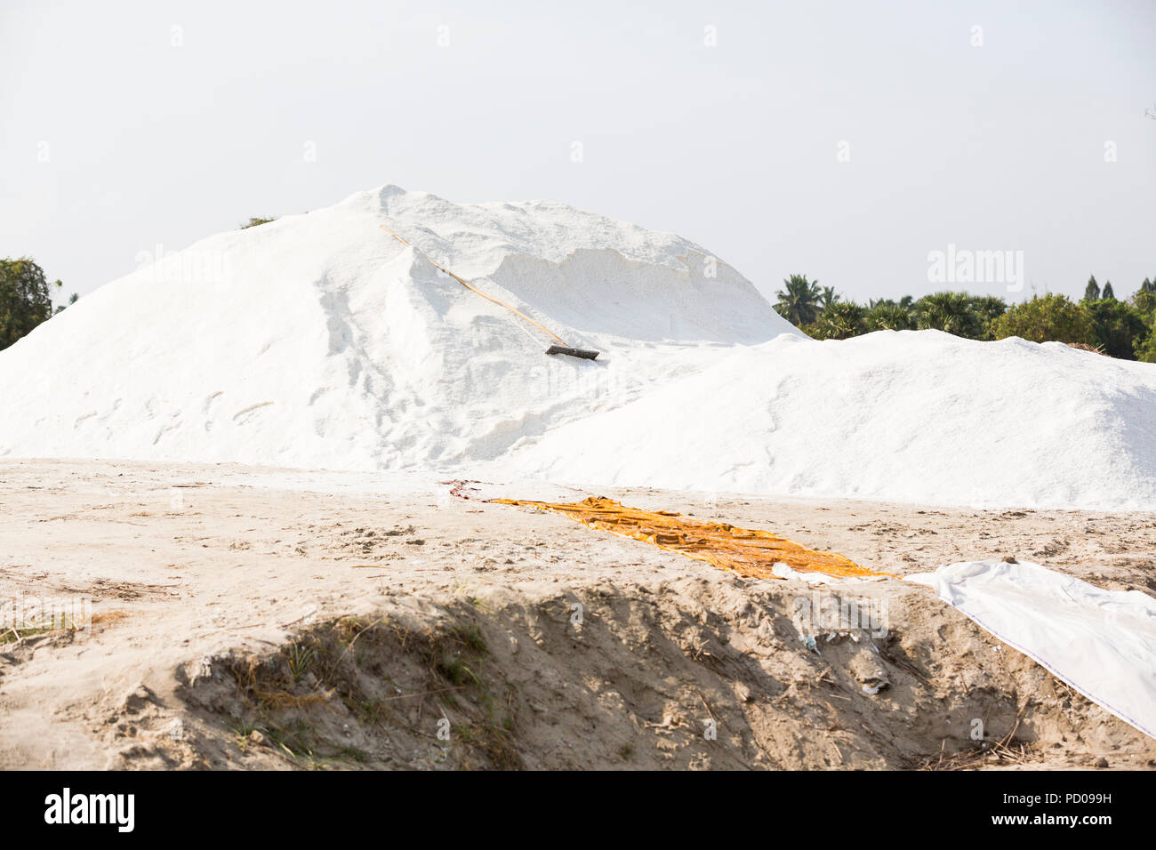 Mass of salt in the salt sea salt farm, India Stock Photo - Alamy