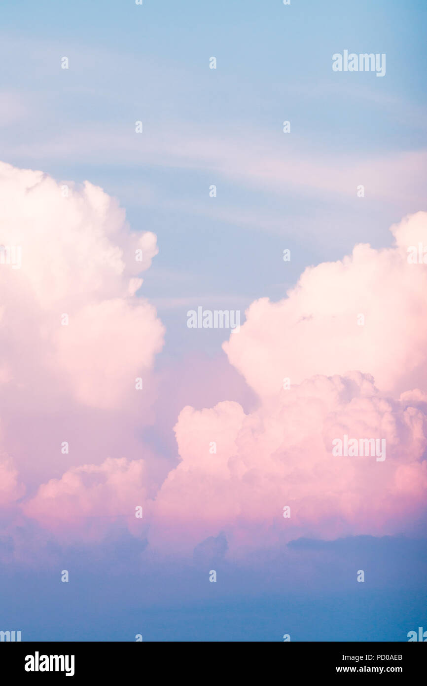 Minimalism trend hi-res stock photography and images - Alamy