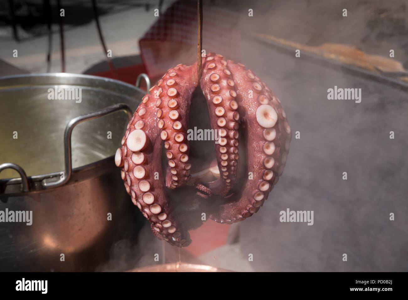 Galician octopus cooked in a pot Stock Photo - Alamy