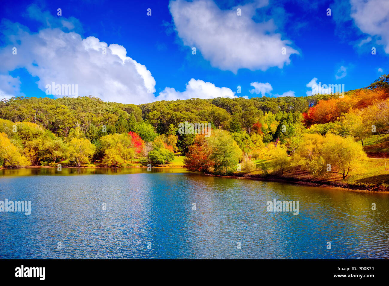 Colorful Australian autumn in Mount Lofty, Adelaide Hills, South ...