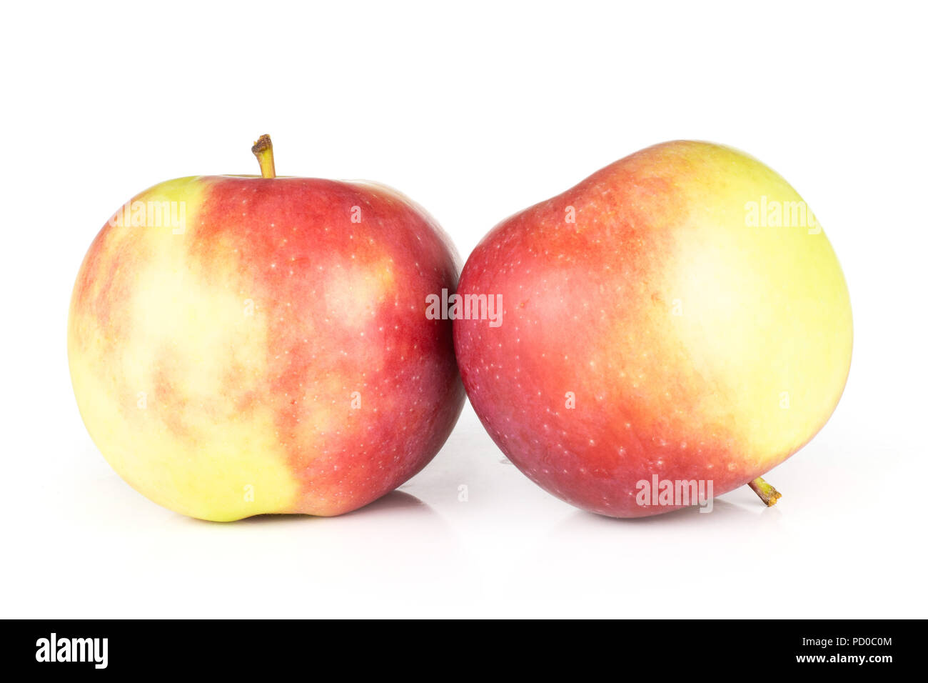 Group of two whole blushed fresh red apple james grieve variety ...