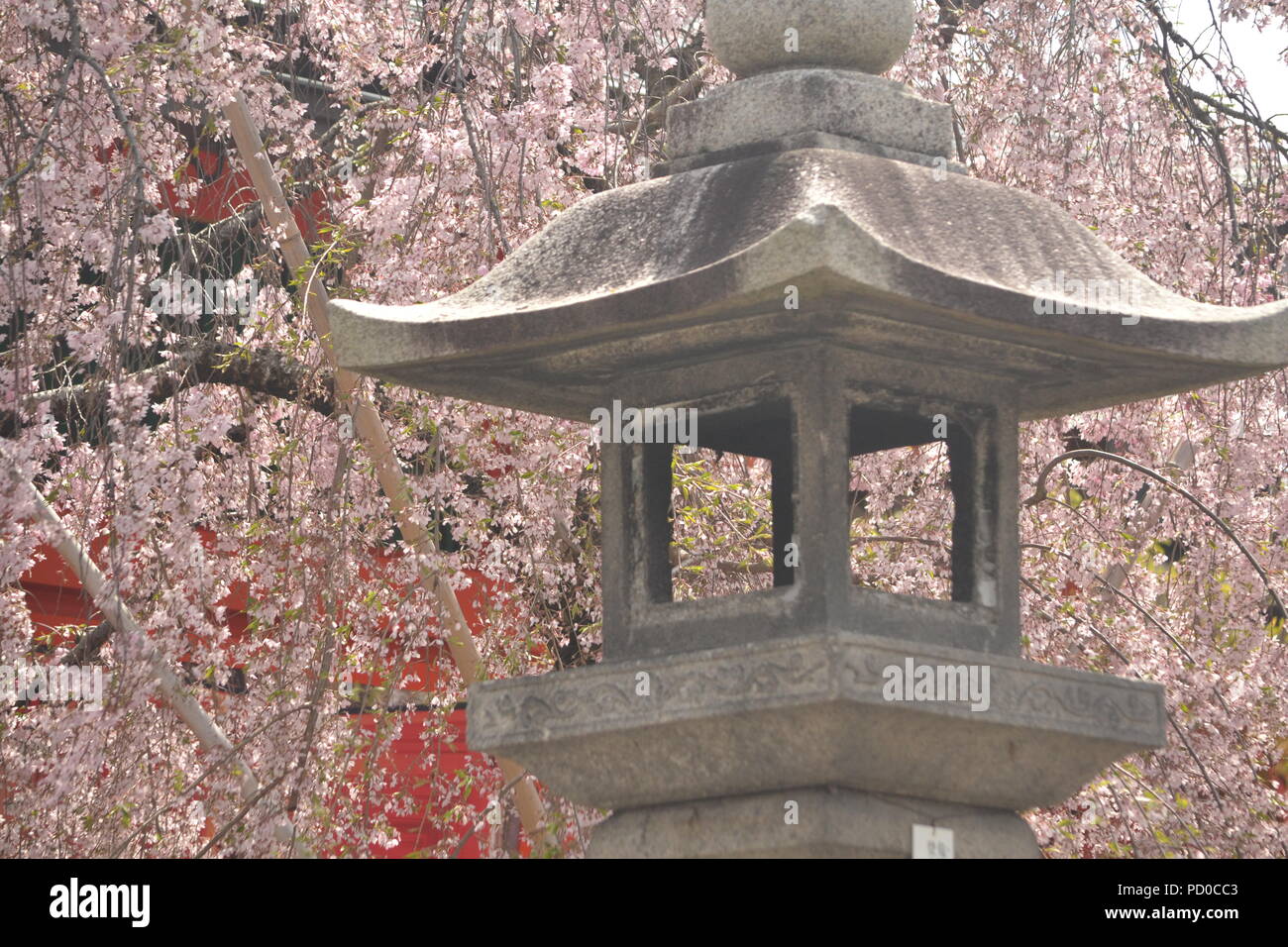 Japanese Garden Scenes around Kyoto Stock Photo - Alamy
