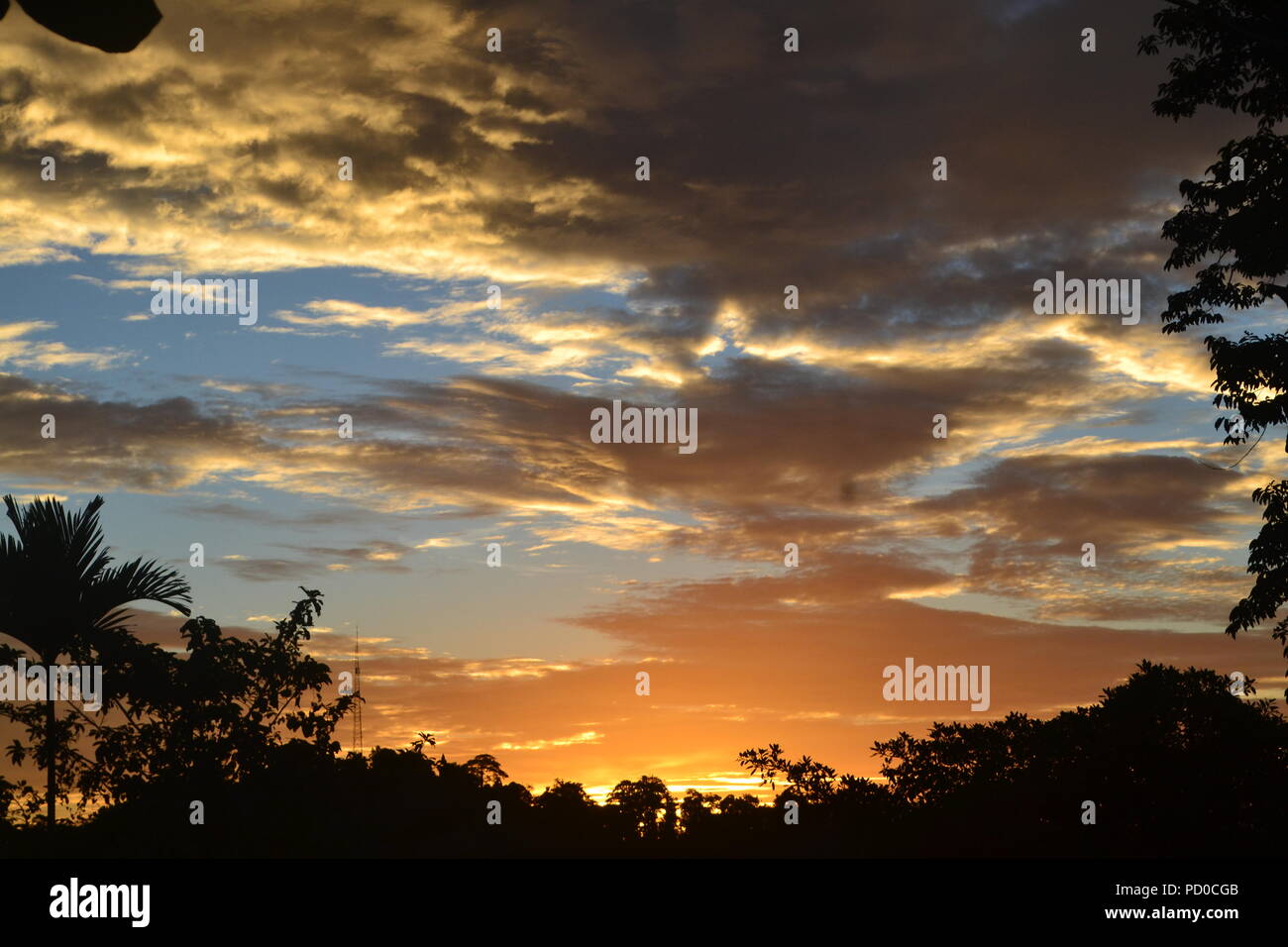 Wewak Harbour and Kairuru Island, Murik Lakes from the air. Papua New ...