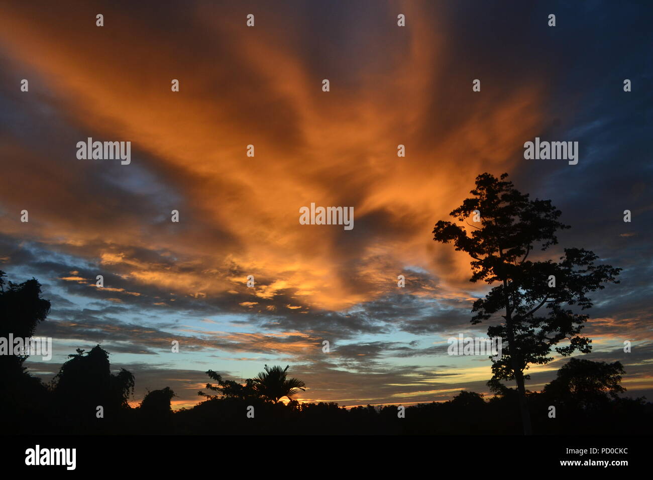 Wewak Harbour and Kairuru Island, Murik Lakes from the air. Papua New ...