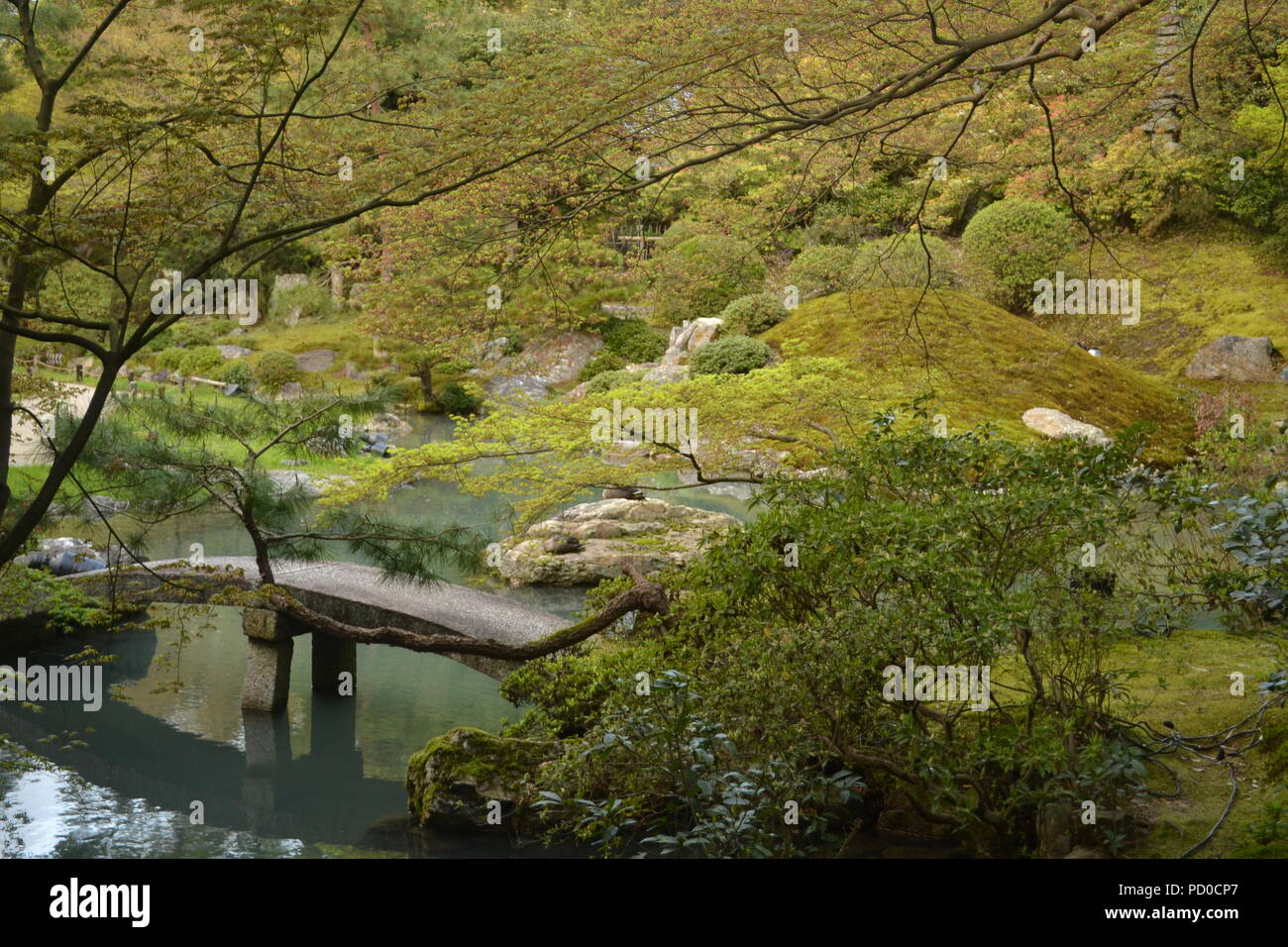 Japanese Garden Scenes around Kyoto Stock Photo - Alamy