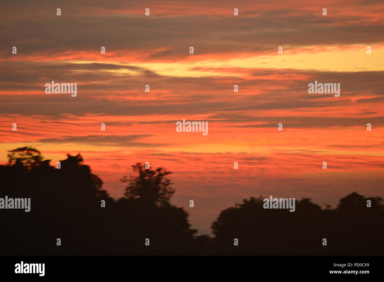 Muschu island hi-res stock photography and images - Alamy