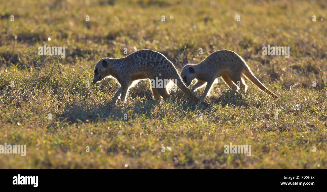 South Africa, a fantastic travel destination to experience third and ...