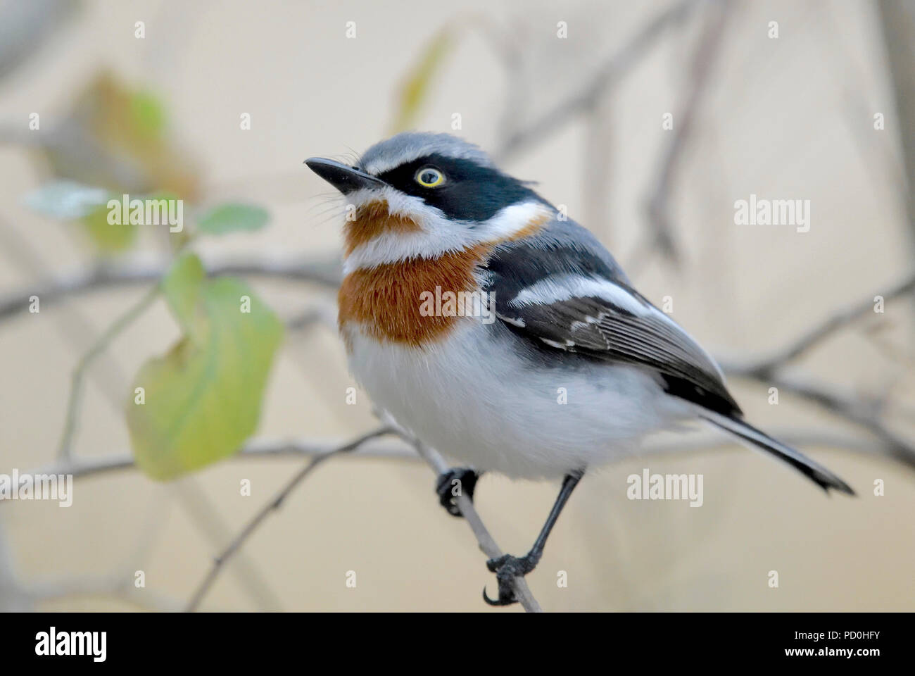 South Africa, a fantastic travel destination to experience third and ...