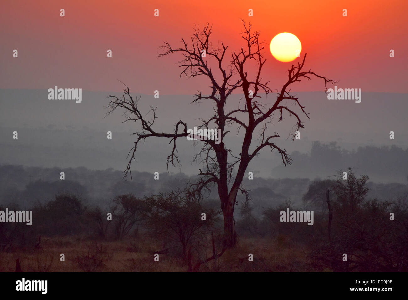 South Africa, a fantastic travel destination to experience third and ...