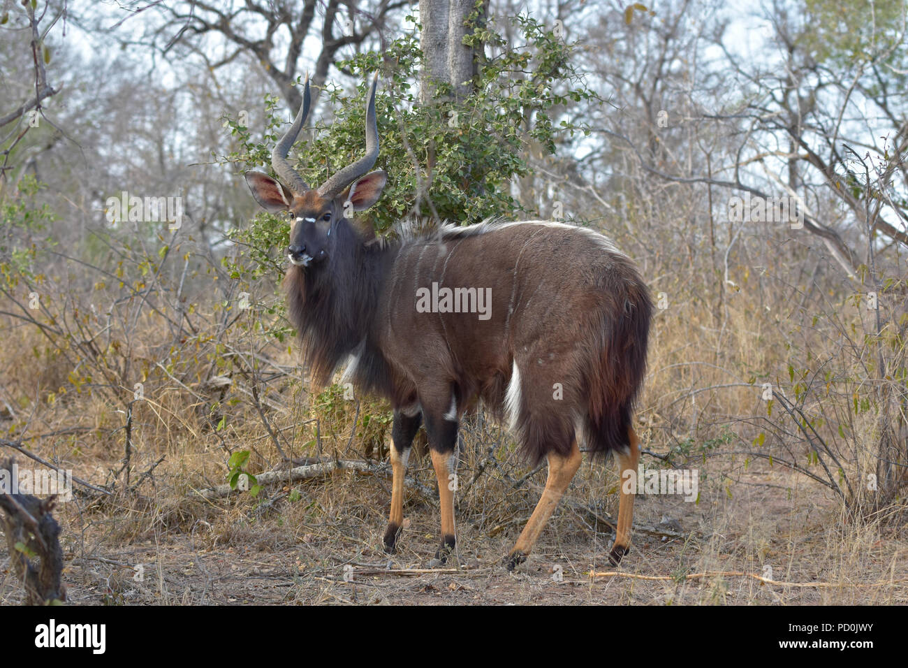 South Africa, a fantastic travel destination to experience third and ...