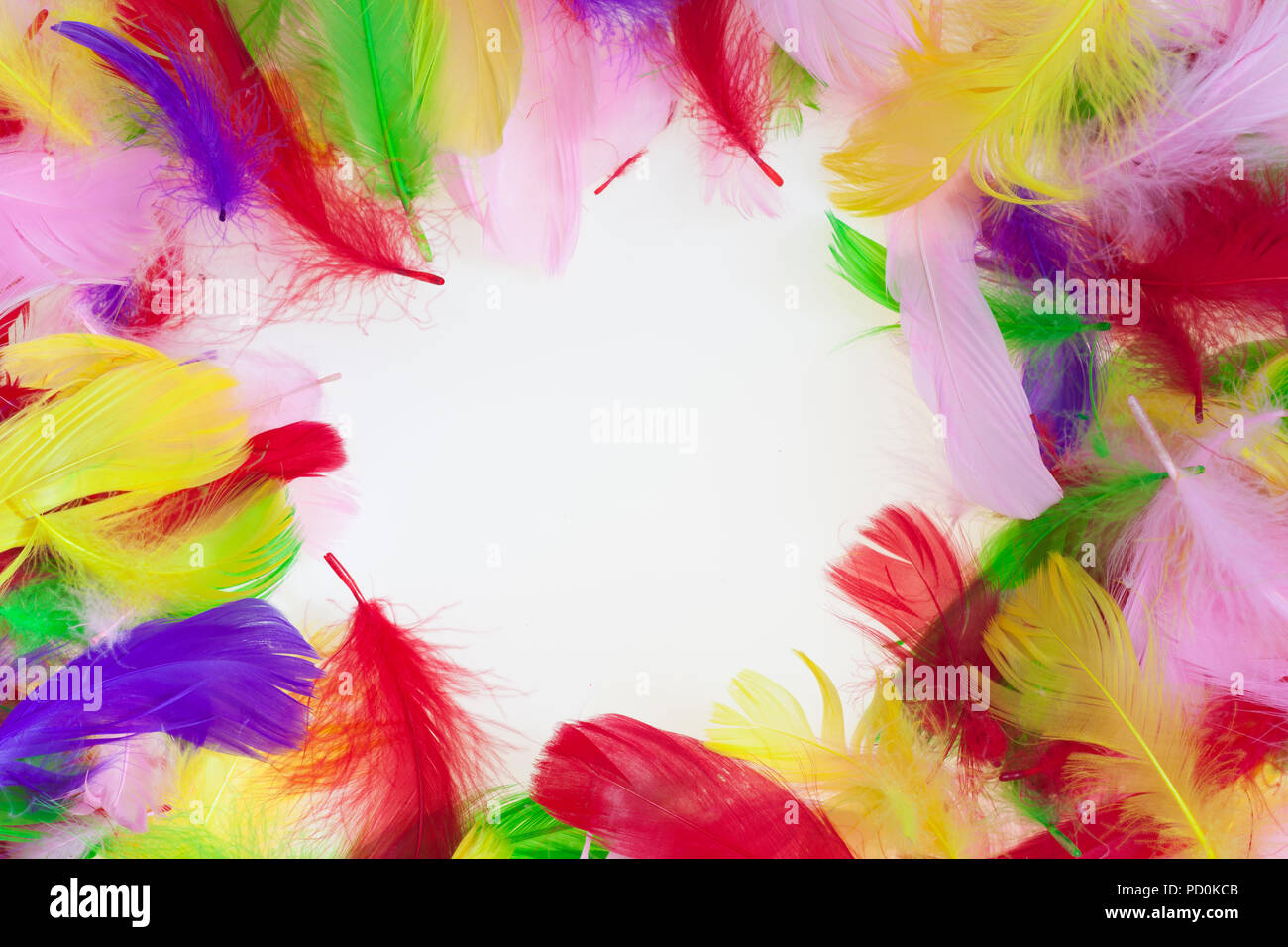 frame of colorful bird feathers with empty white space for text Stock ...