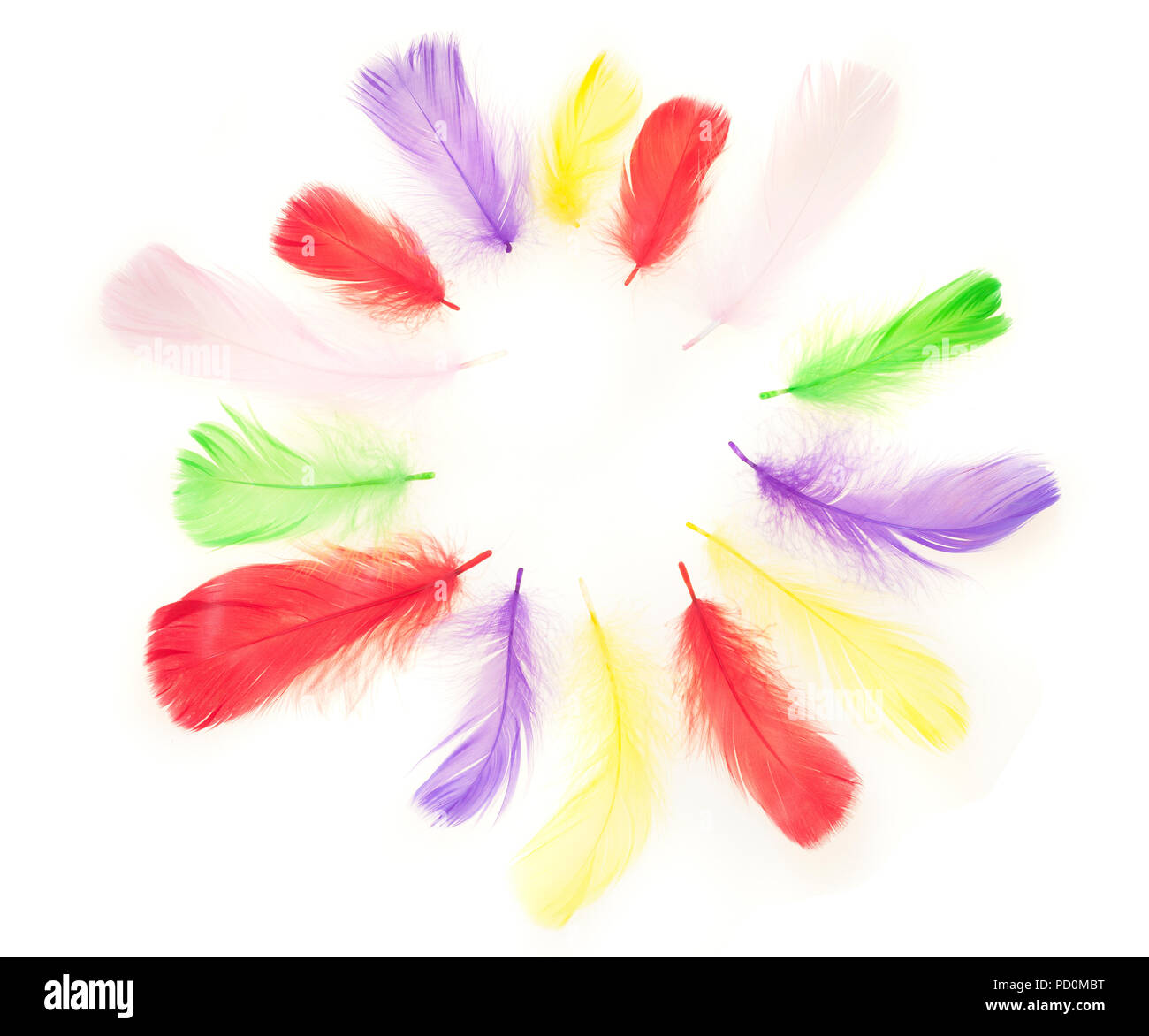 round frame of colorful bird feathers with empty white space for text ...