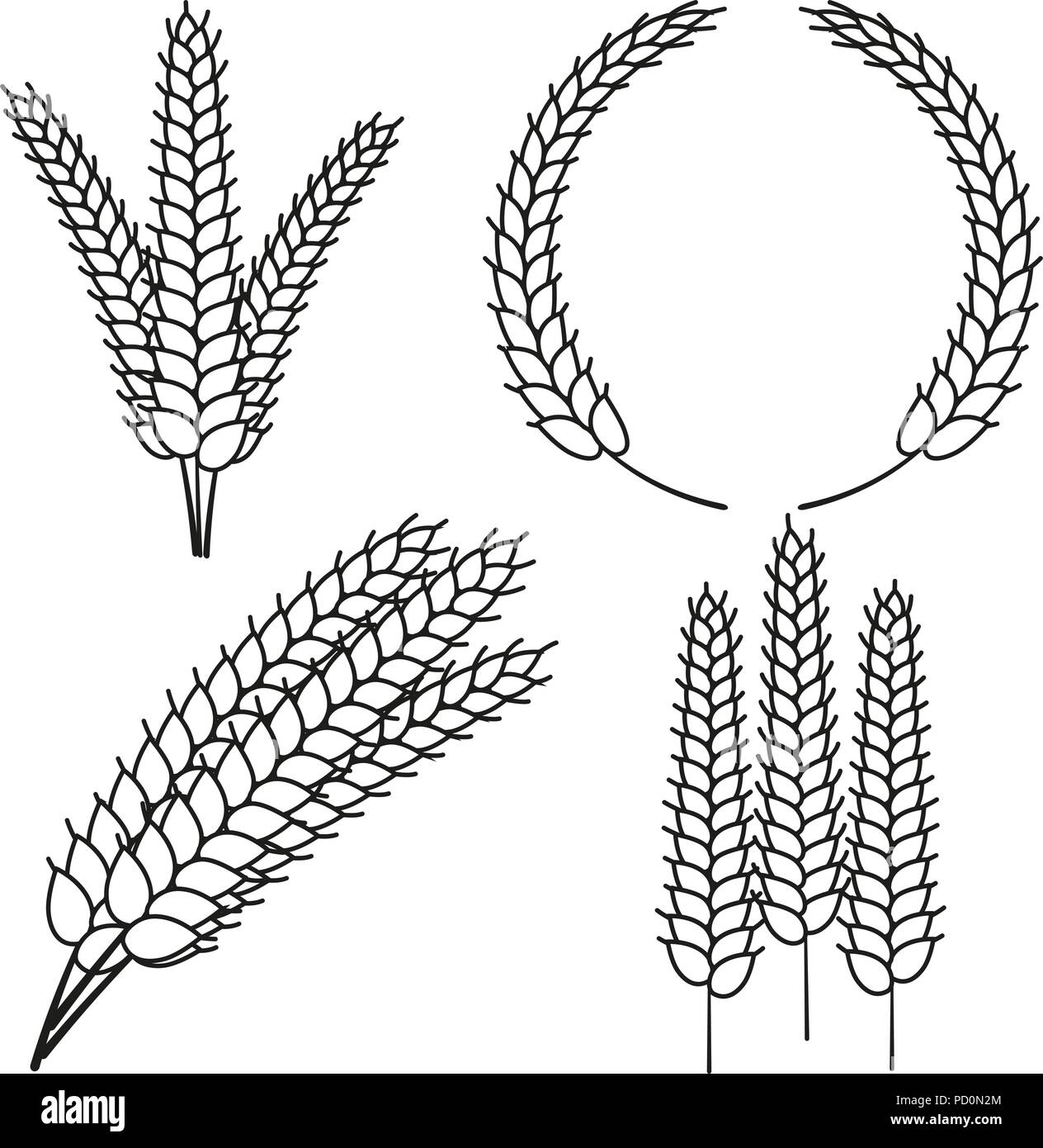 Line art black and white ripe wheat ear set Stock Vector Image & Art ...