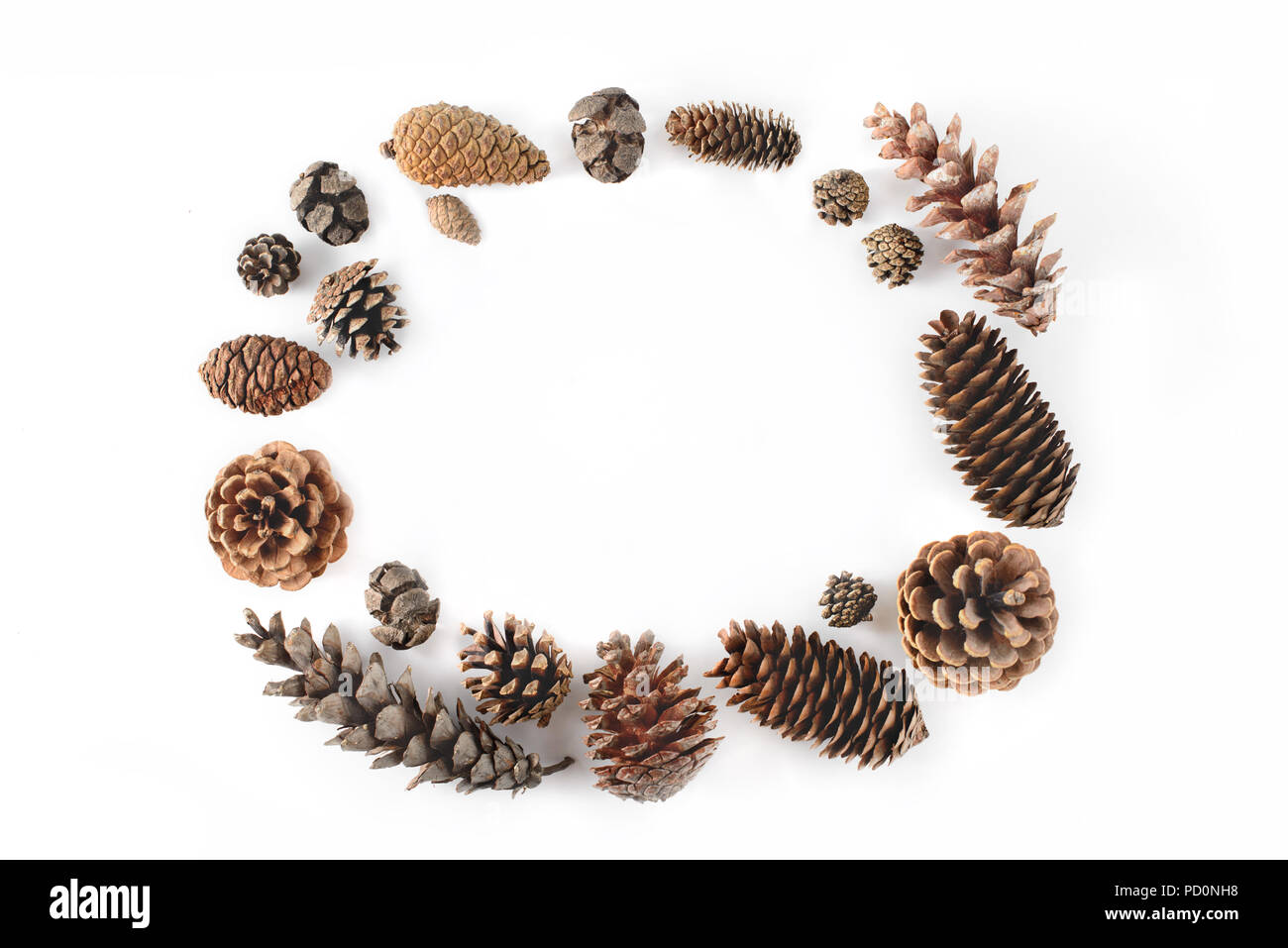 Frame made of cones various coniferous trees isolated on white, view ...