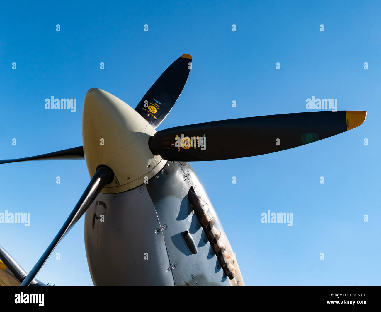 Supermarine Spitfire MKIX TD314 St George, Headcorn, Kent UK, close-up ...