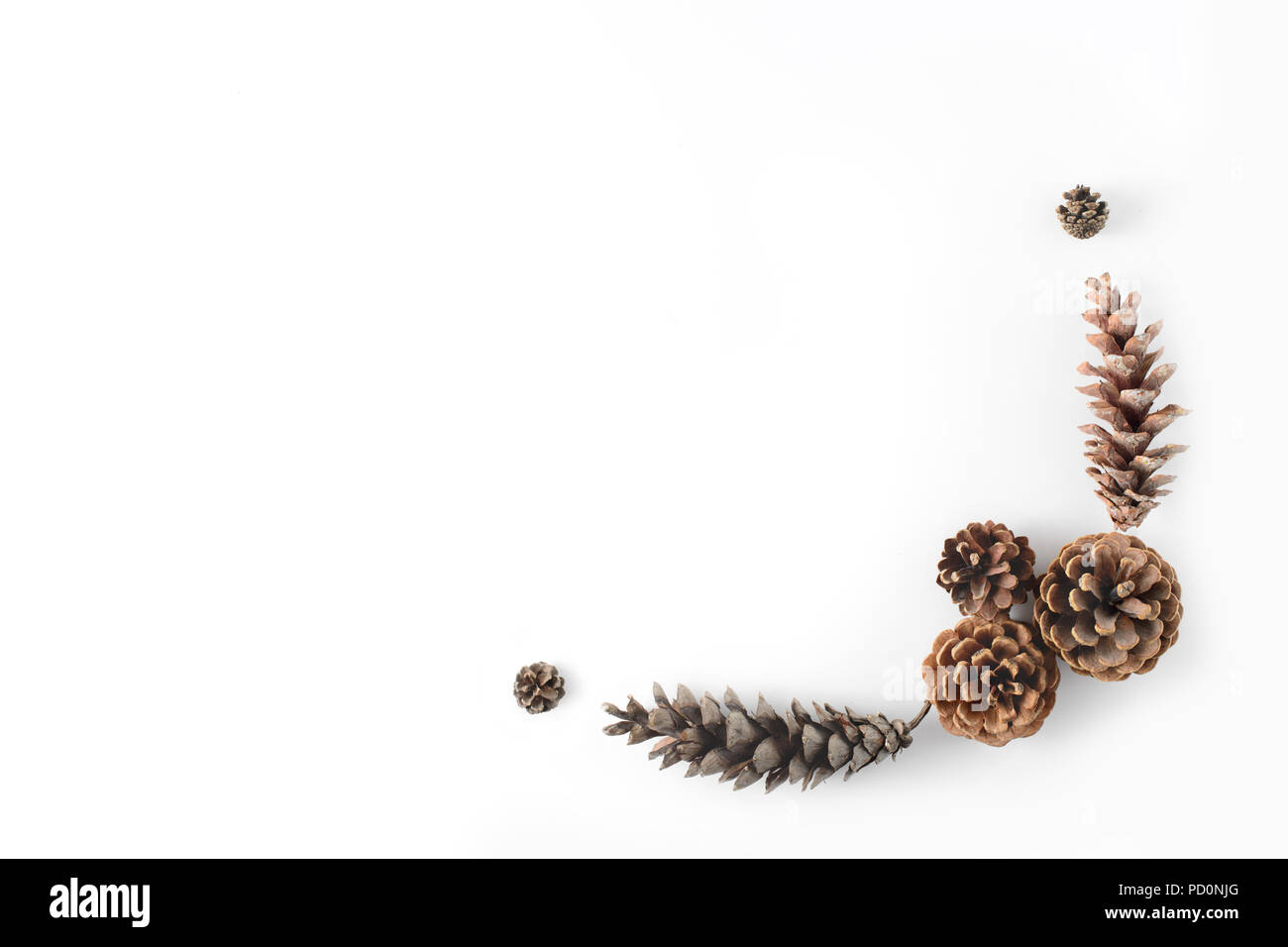 Nut corner hi-res stock photography and images - Alamy